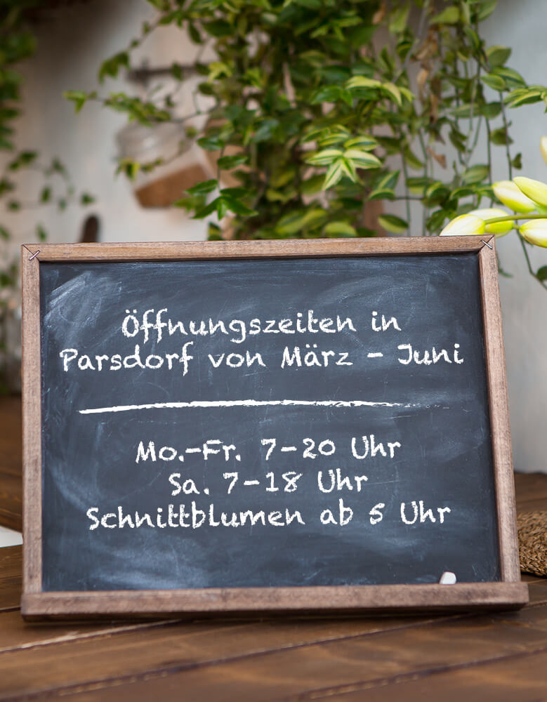 Blumen Zentrale Parsdorf Offnungszeiten